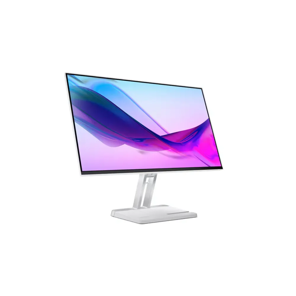 Lenovo L24i-4a 23.8 Zoll Full HD IPS LED 16:9 100 Hz Monitor Buy